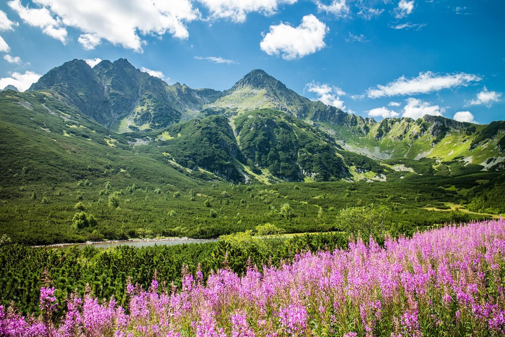 Did you know these facts about Tatra Mountains | SLOVAKATION