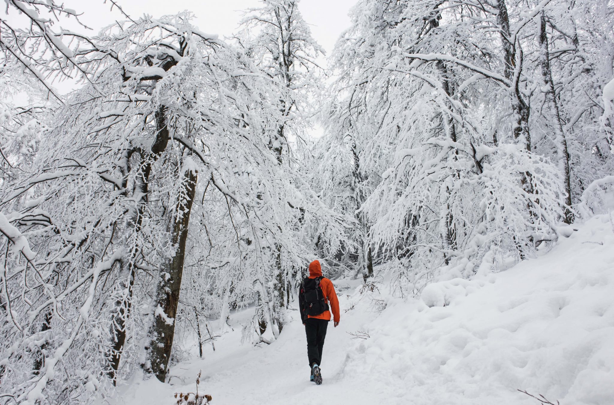 Best places to go hiking in winter in Slovakia | SLOVAKATION